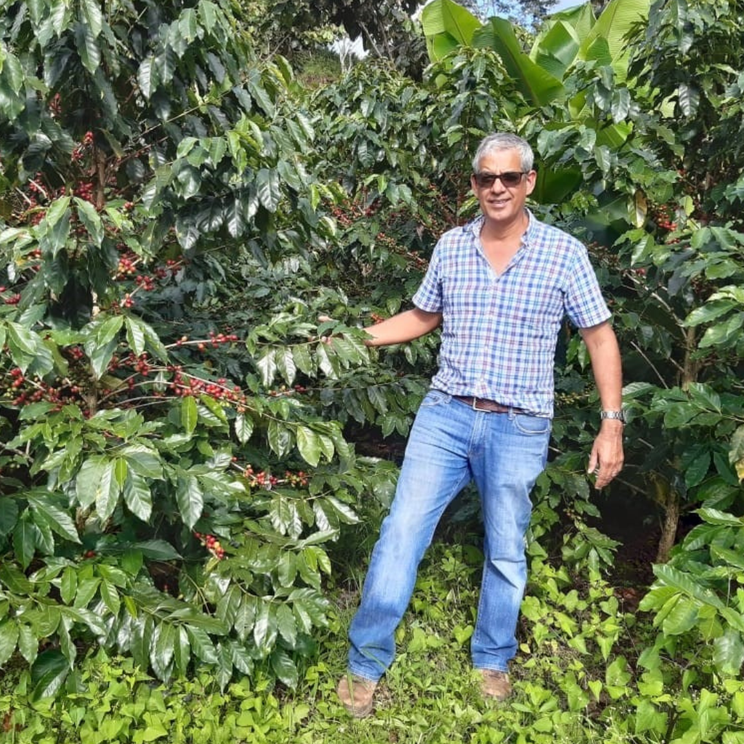 Nicaragua - Los Altiplanos - Java Anaerobic Honey | Wes Ngopi?