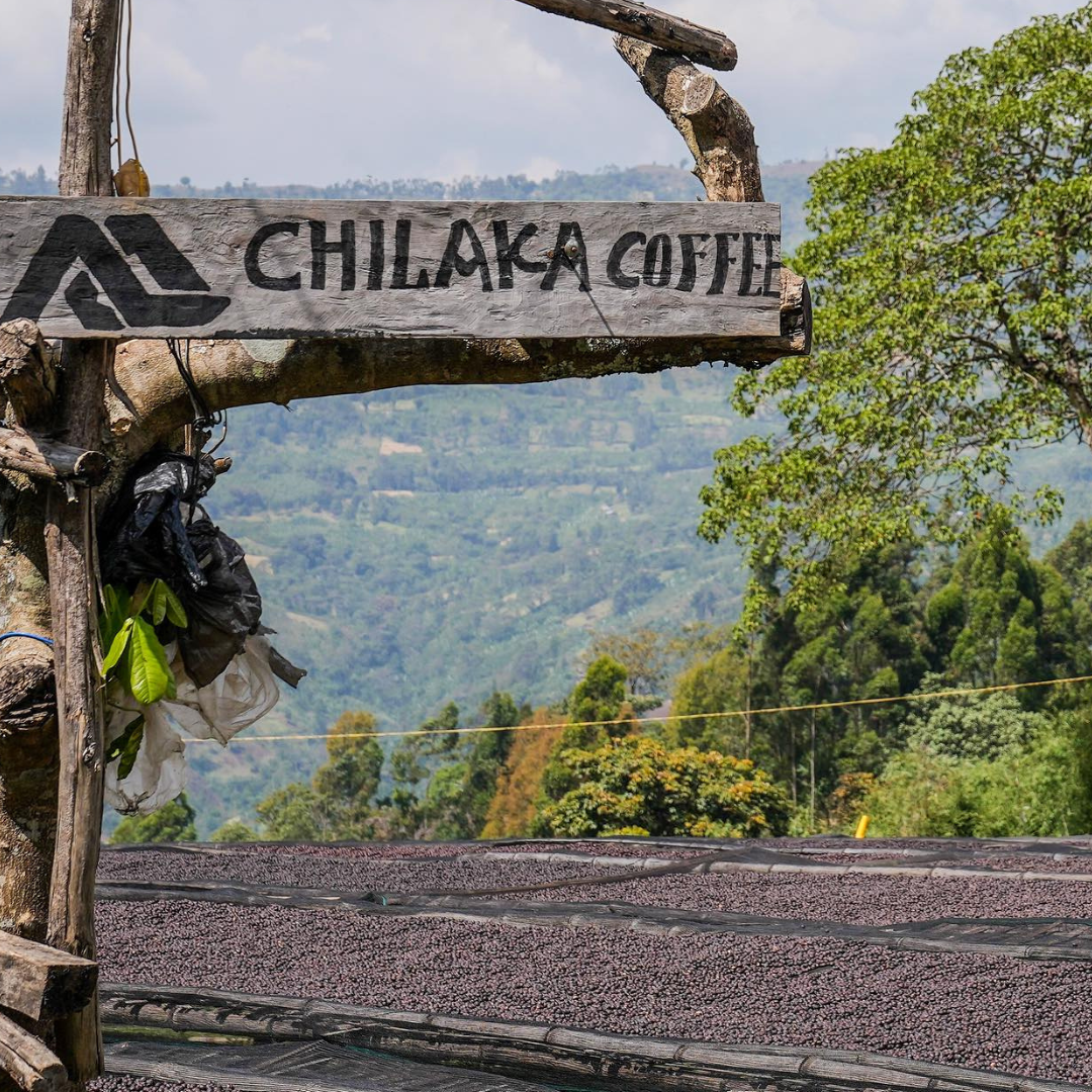 Ethiopia - ALO Chilaka Village Series | Wes Ngopi?
