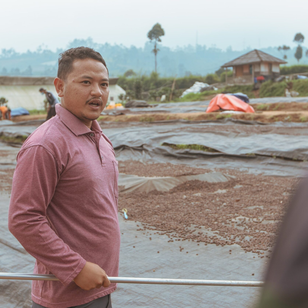 Java - Frinsa Weninggalih - Yasmin Salsabila (COE Farm #17, 2023) | Wes ...