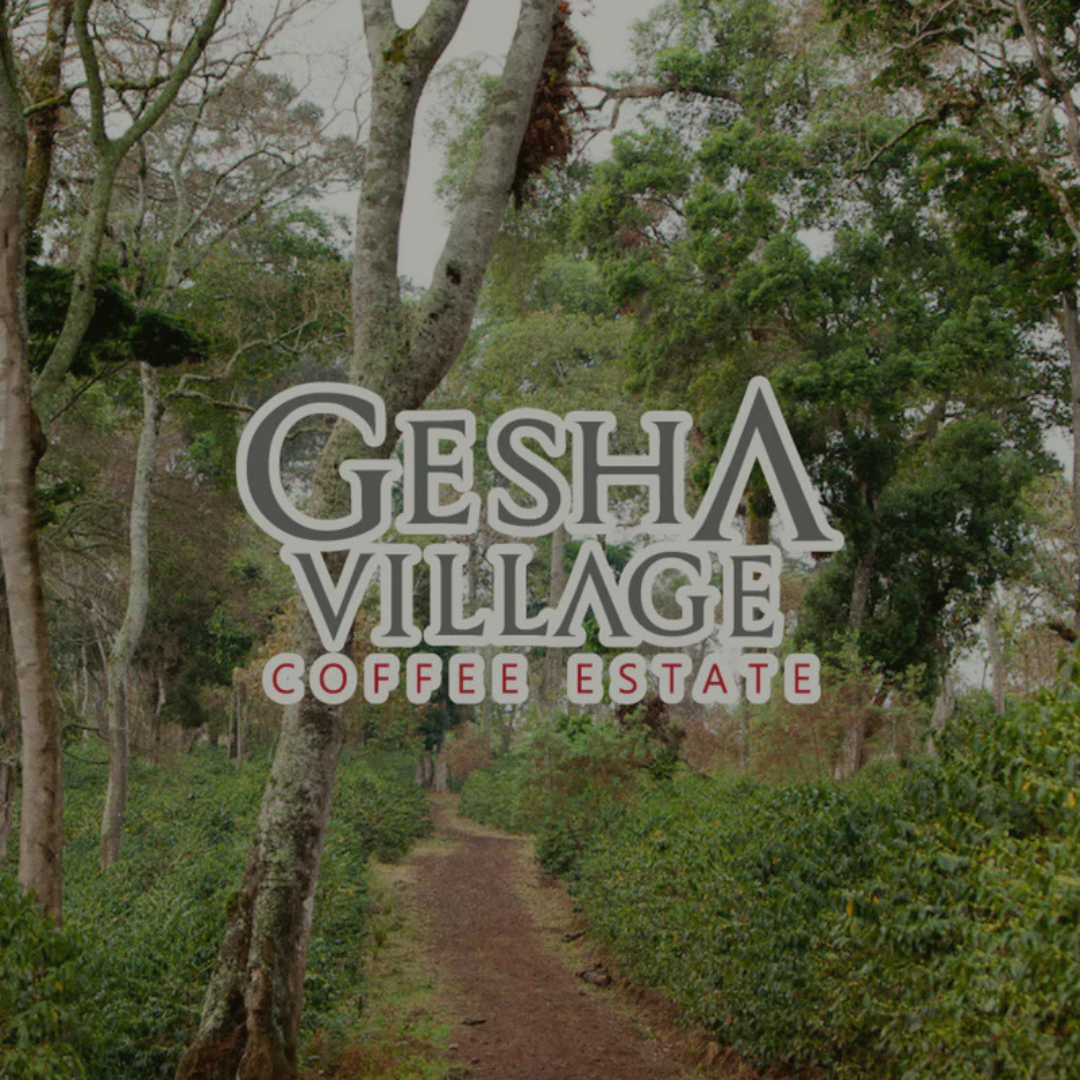 Ethiopia - Gesha Village - Gori Gesha Lot 24 (Single Terroir Series ...