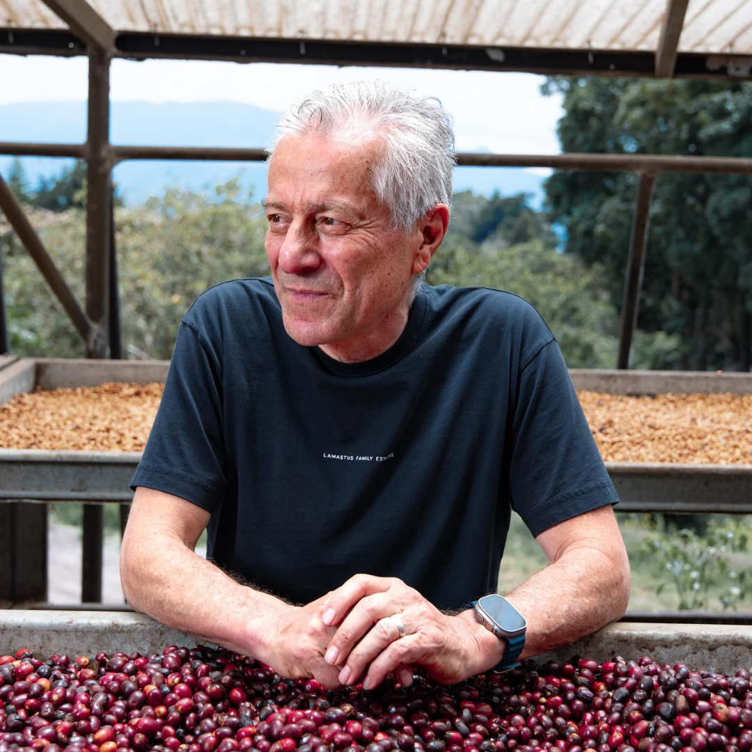 Panama - Lamastus Family Estate Geisha Series | Wes Ngopi?