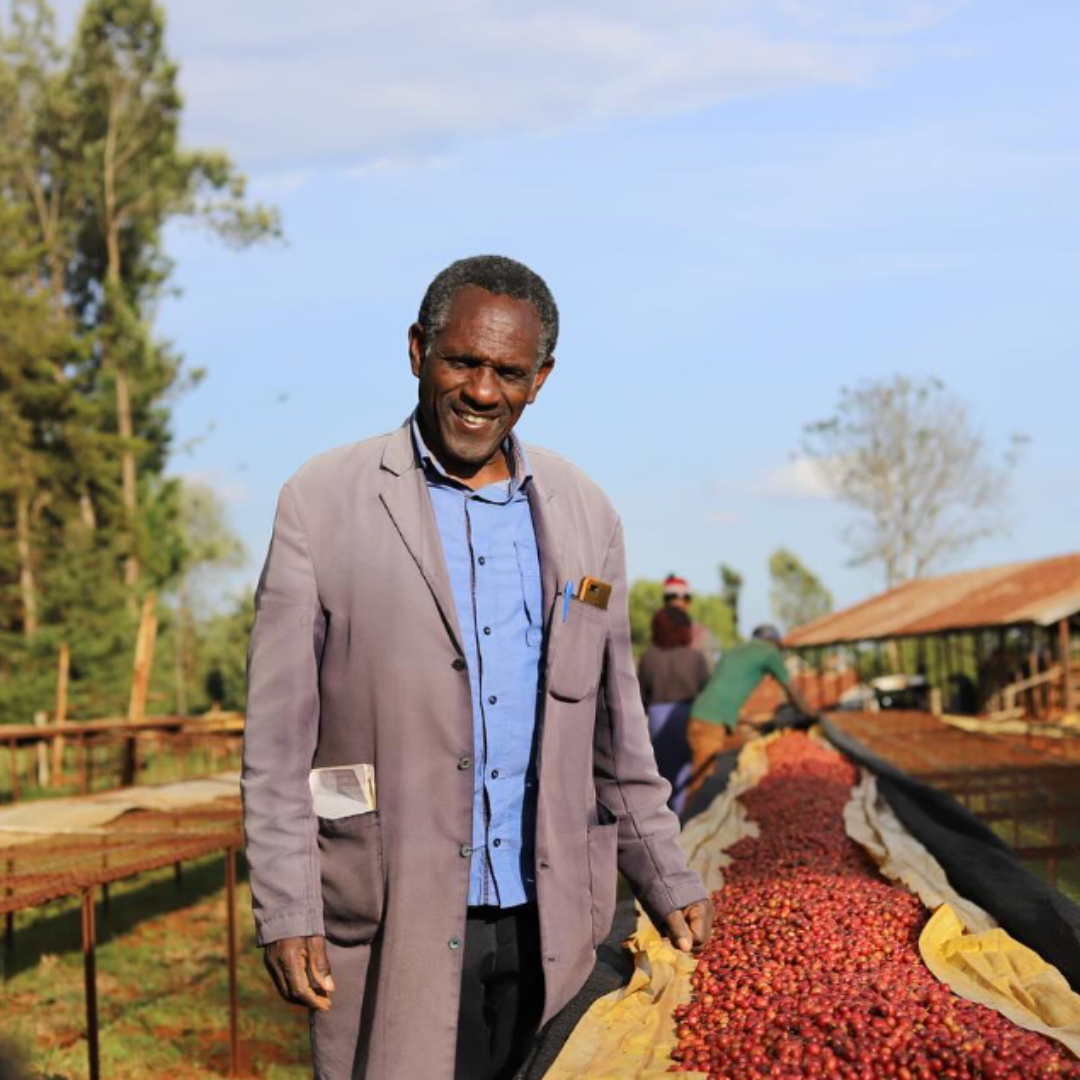 Kenya - Thageini Natural by Aguthi FCS | Wes Ngopi?
